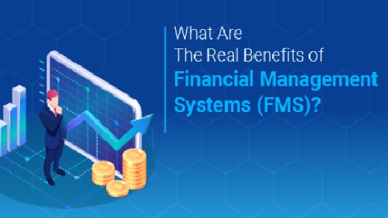 What is Financial Management and What are the Strategies to Achieve ...